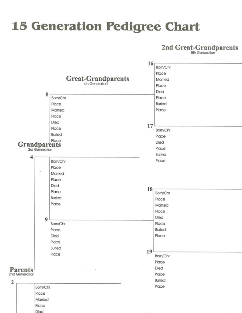 15-Generation Wall Chart – Jigsaw-Genealogy